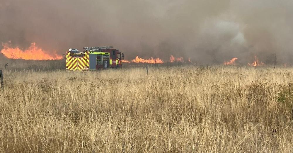 Stop the Fires and Clean Up Toxic Launders Lane – this Landfill should ...